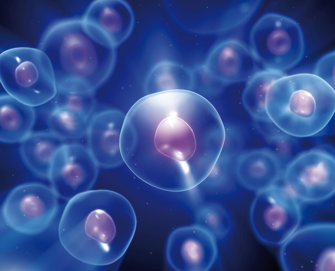 La cellule, au coeur de la santé | Penser Santé